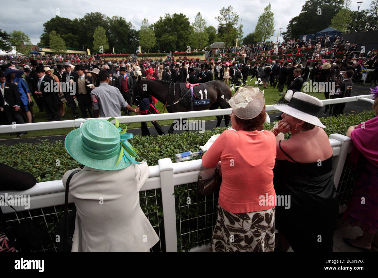 Ascot Ladies Day Stock Photo - Alamy