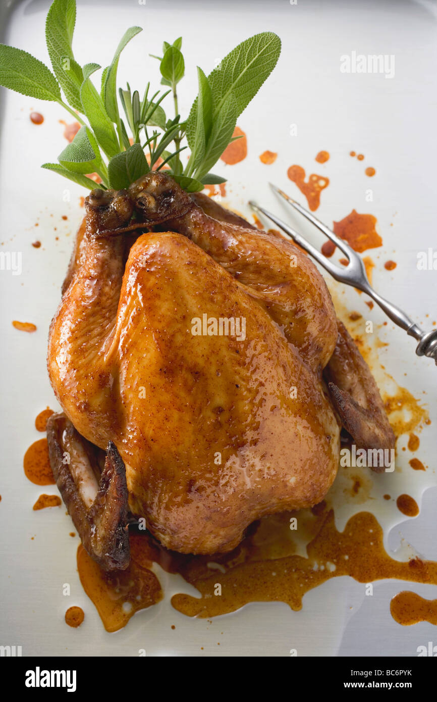 Roast chicken with fresh herbs (overhead view Stock Photo - Alamy