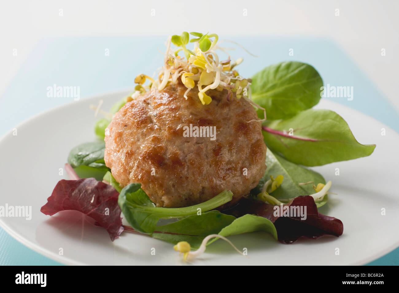 Meat patty with sprouts on salad leaves Stock Photo - Alamy