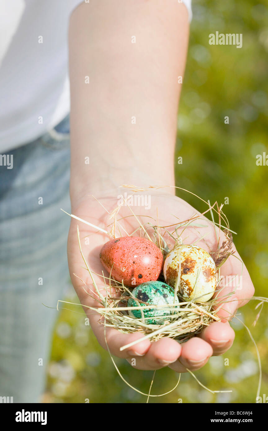 Hand holding coloured quails' eggs on hay Stock Photo - Alamy