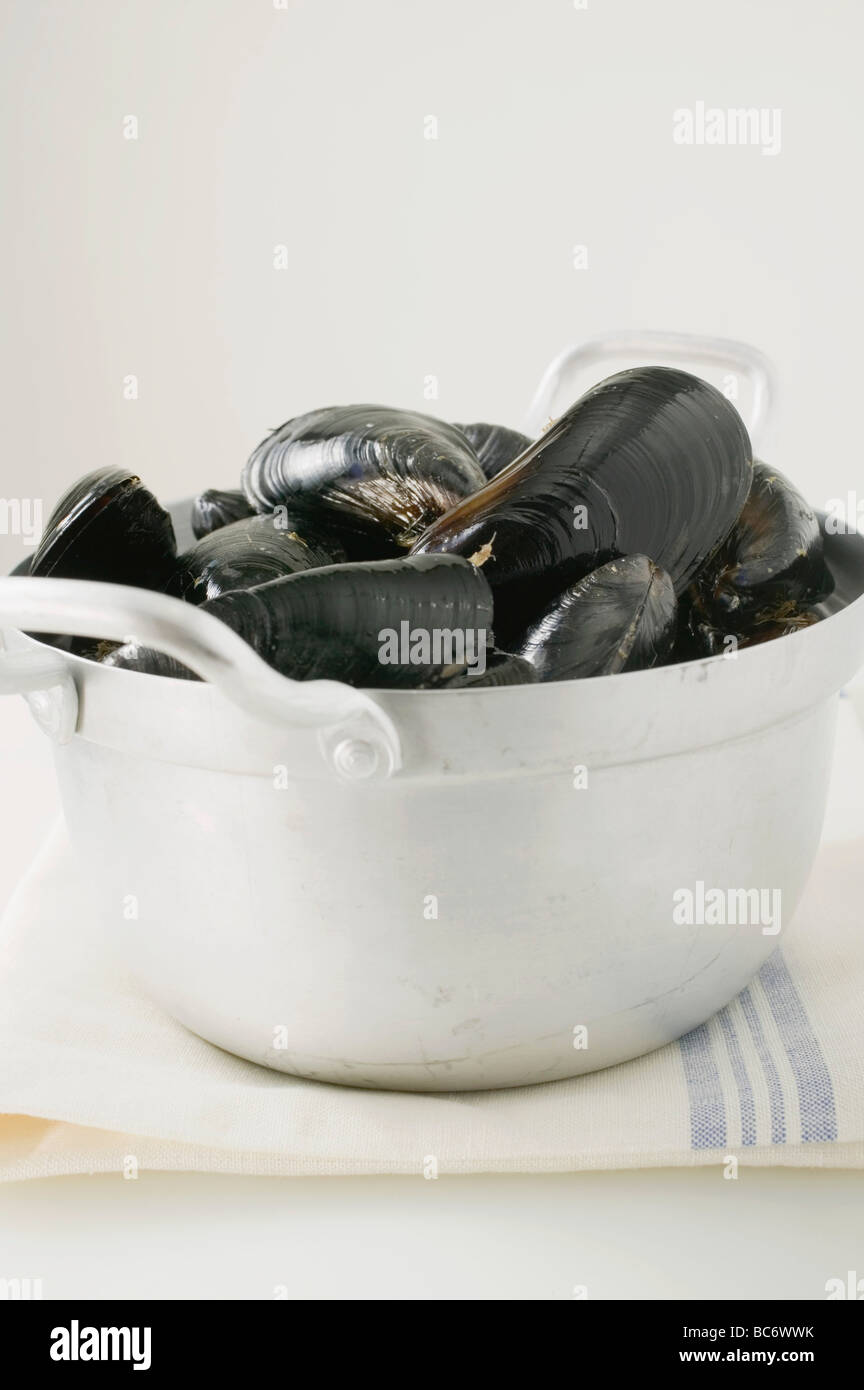 Mussels in pan Stock Photo - Alamy