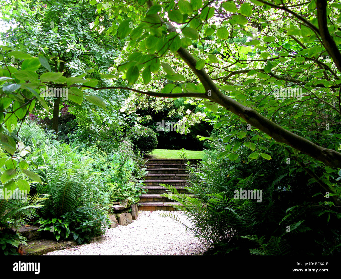 Lawn steps hi-res stock photography and images - Alamy