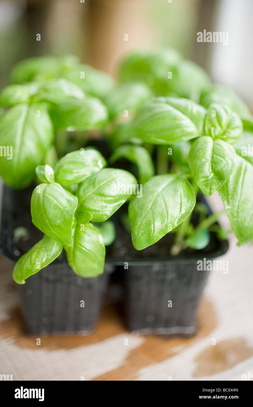 Plastic modules hi-res stock photography and images - Alamy