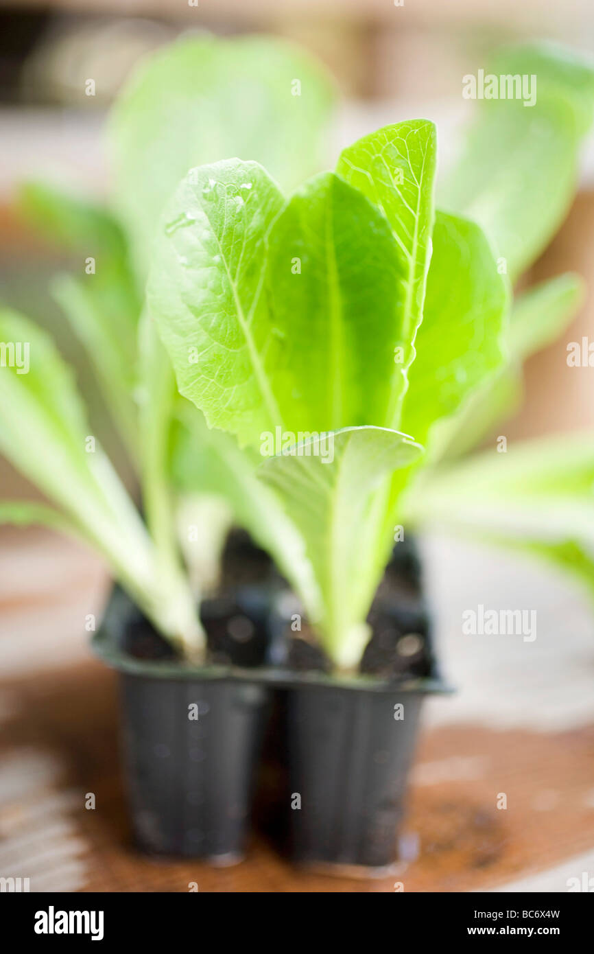 Plastic modules hi-res stock photography and images - Alamy