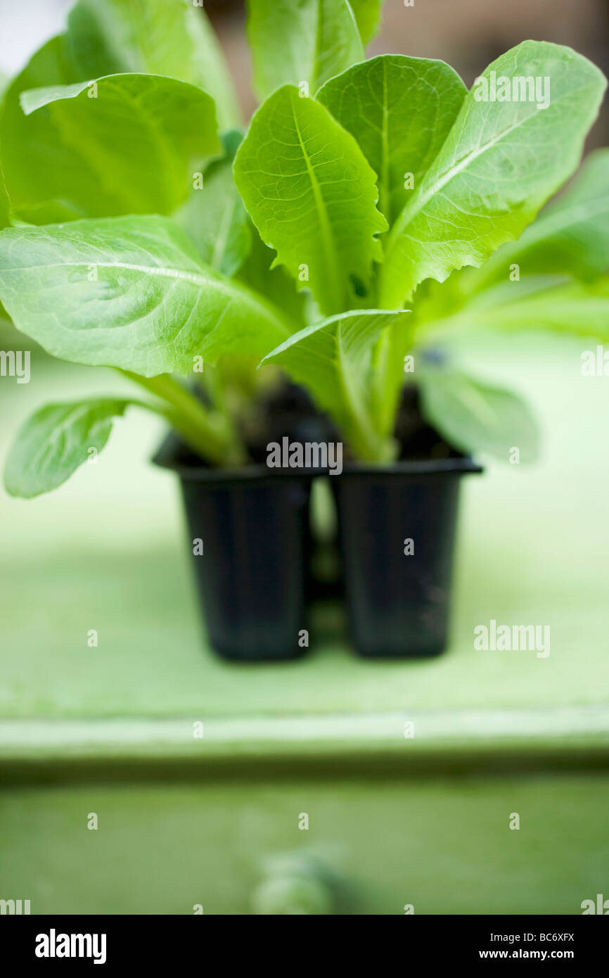 Plastic modules hi-res stock photography and images - Alamy