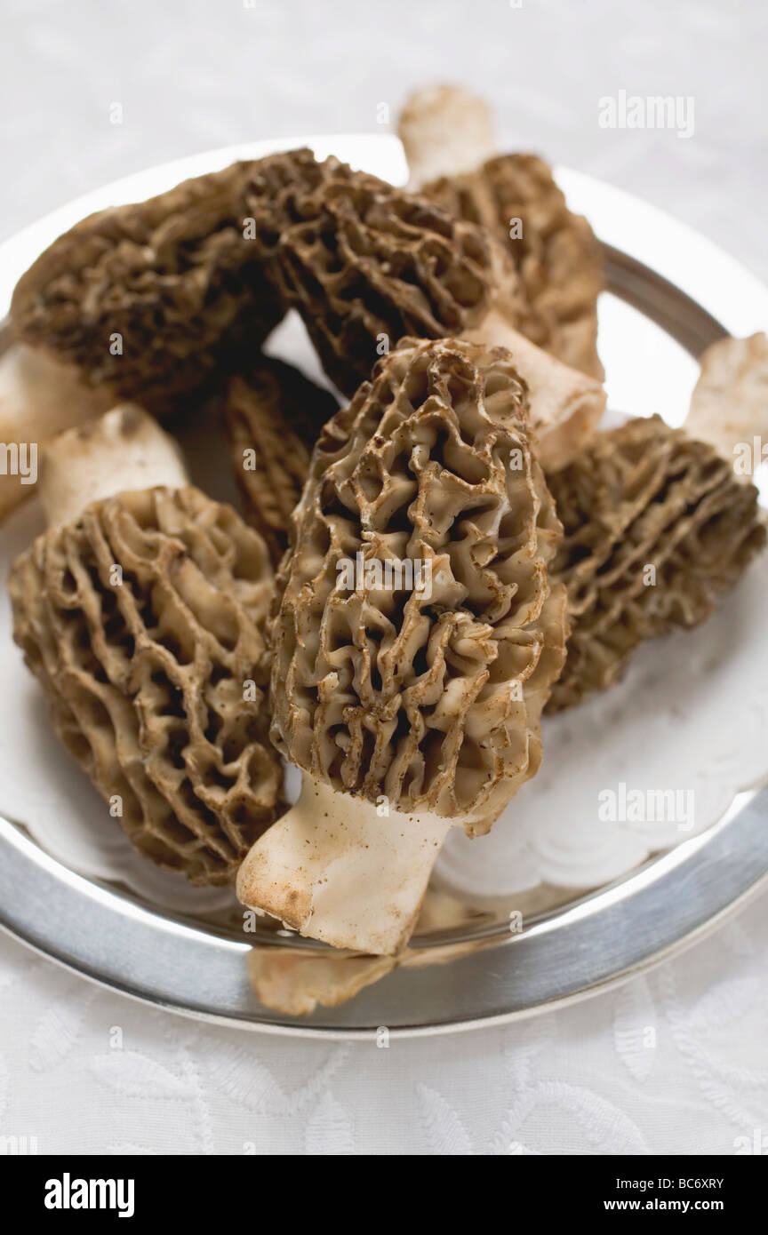 Several morels on silver plate (close-up Stock Photo - Alamy