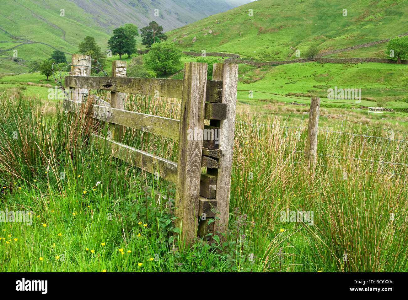 An old gate Stock Photo - Alamy
