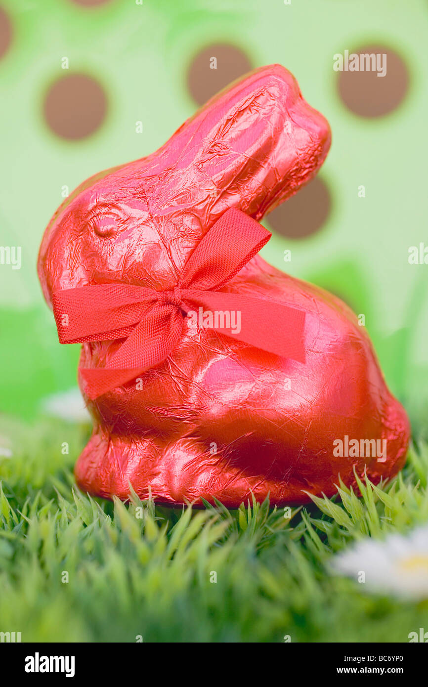 Blurry bunny hi-res stock photography and images - Alamy