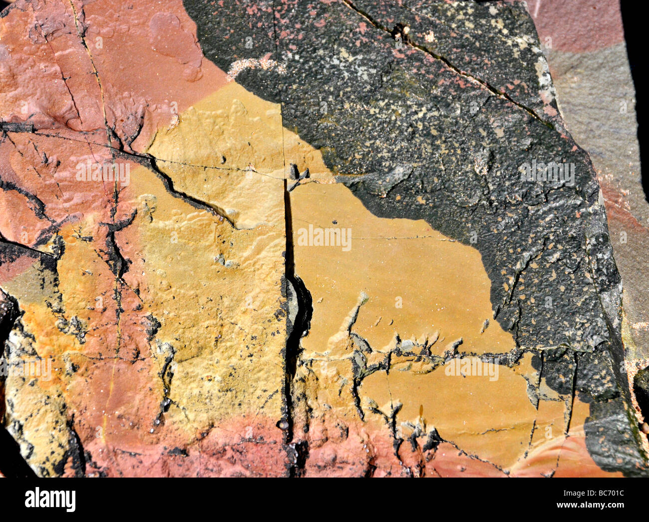 Colourful detail of a rock Stock Photo - Alamy