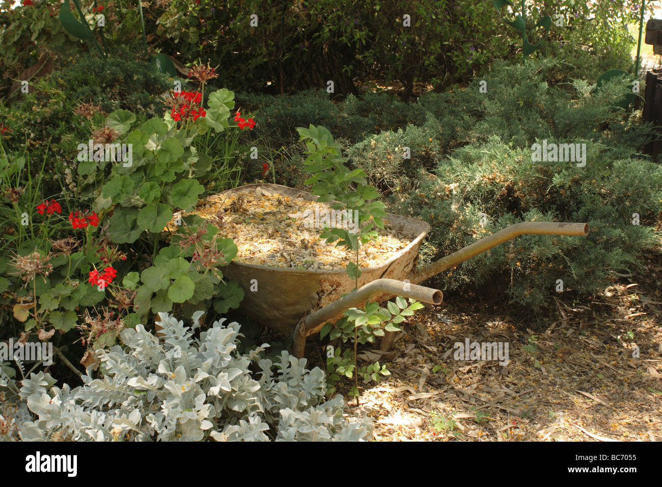 Wheel barrow full of earth hi-res stock photography and images - Alamy