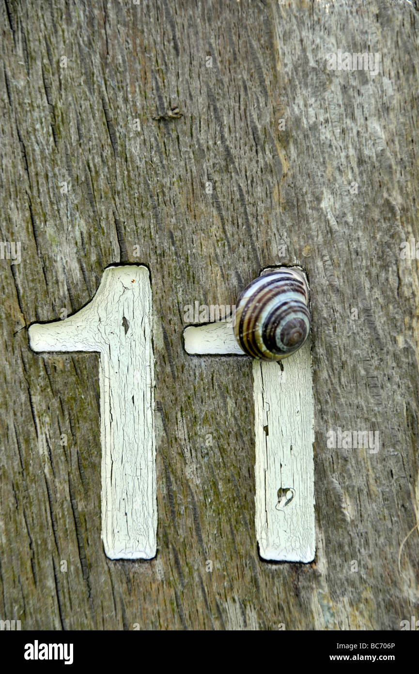 Number eleven hi-res stock photography and images - Alamy