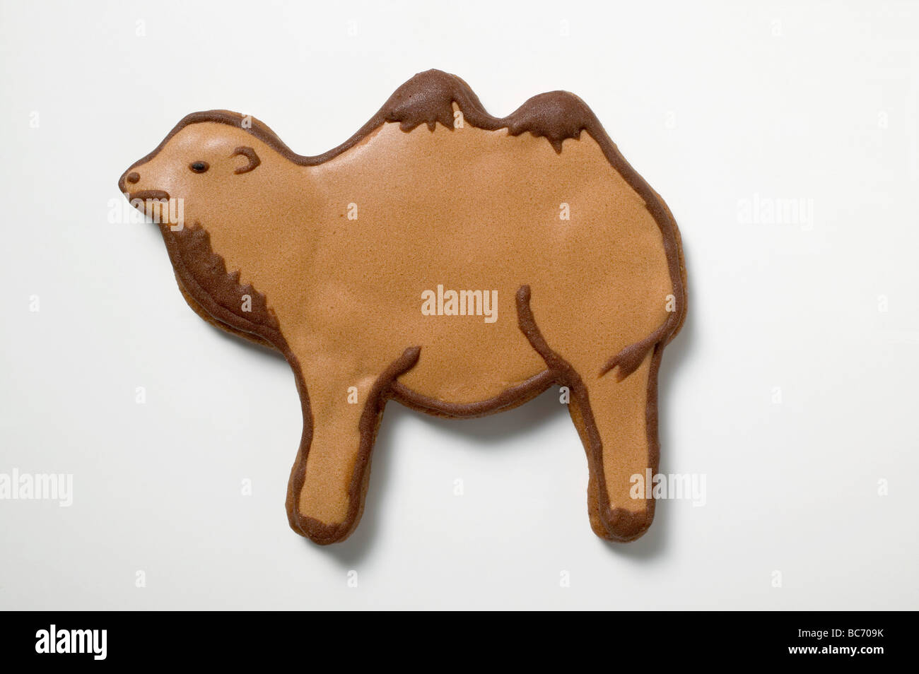 Camel outline hi-res stock photography and images - Alamy