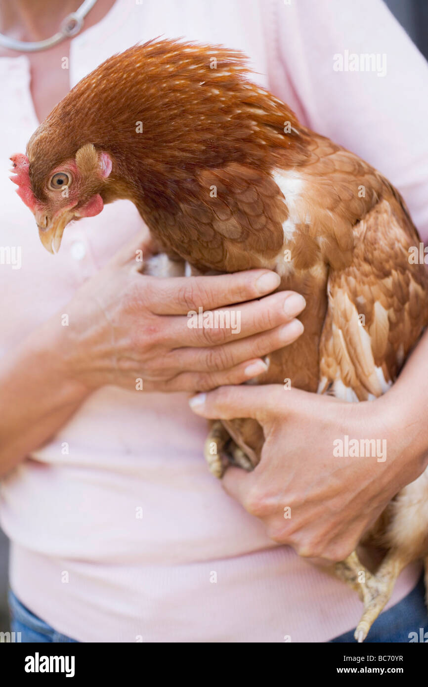 Woman holding live chicken hi-res stock photography and images - Alamy