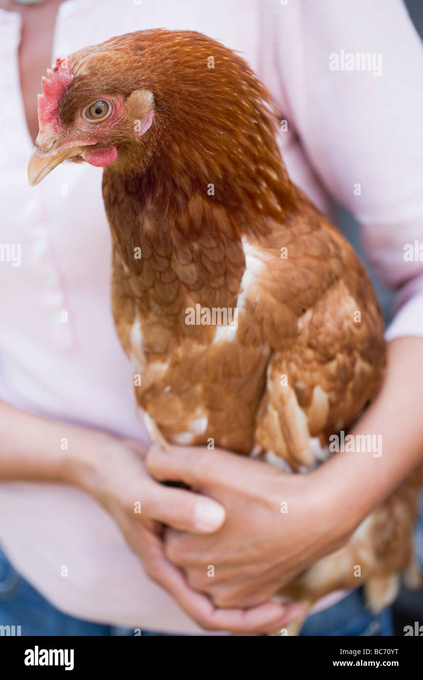 Woman holding live hen Stock Photo - Alamy