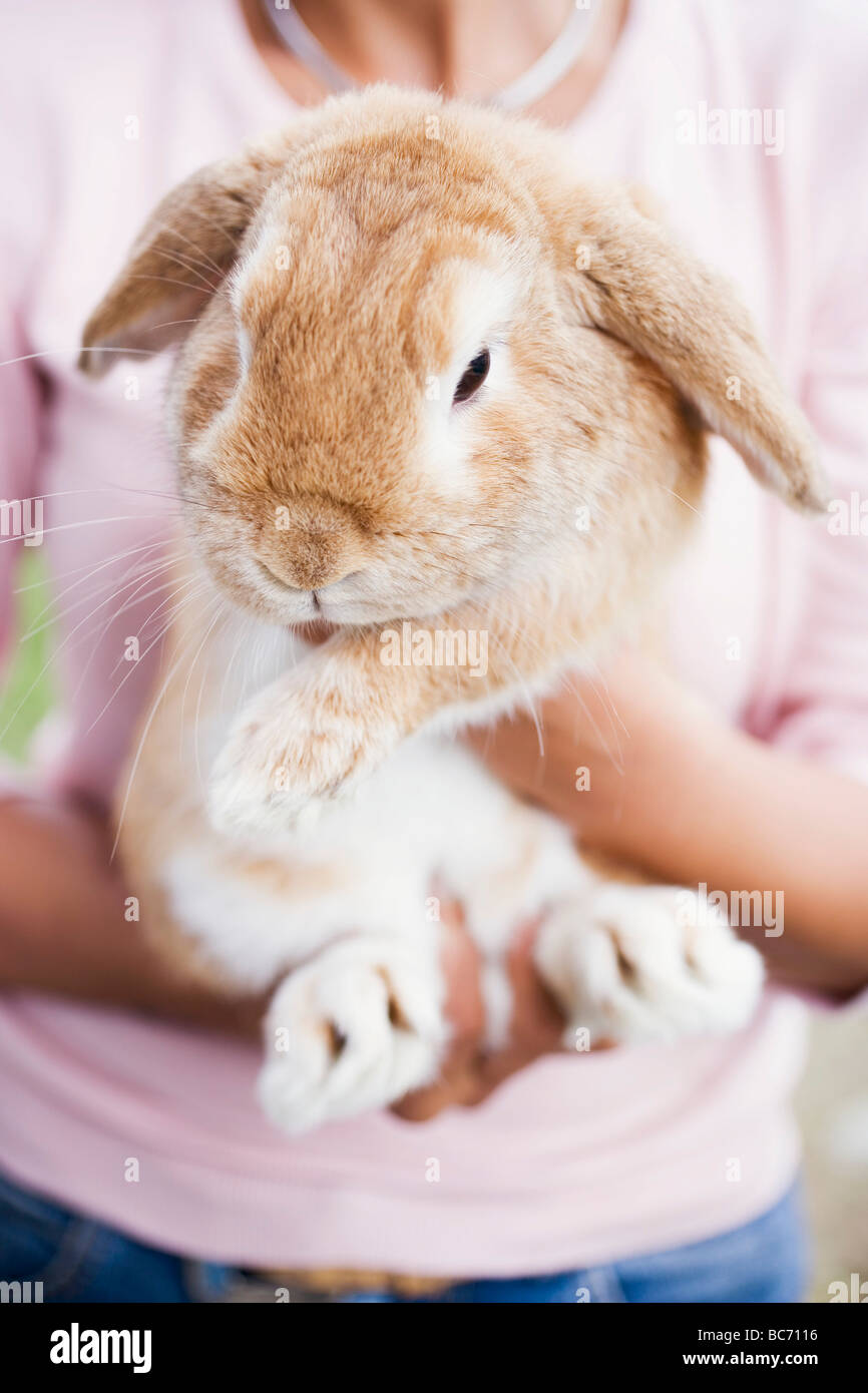 Woman holding live rabbit Stock Photo - Alamy