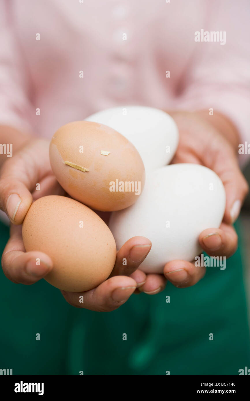 Hands holding fresh eggs Stock Photo - Alamy