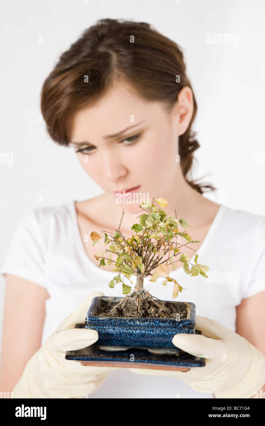 Woman with dry bonsai tree Stock Photo - Alamy