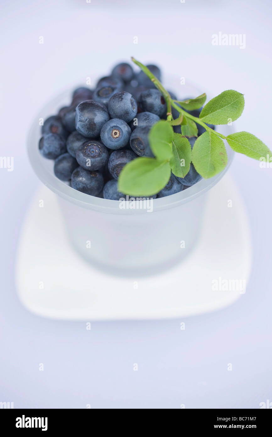 Blueberries in plastic tub Stock Photo - Alamy