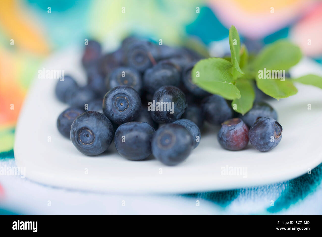Blueberries with leaves on plate Stock Photo - Alamy