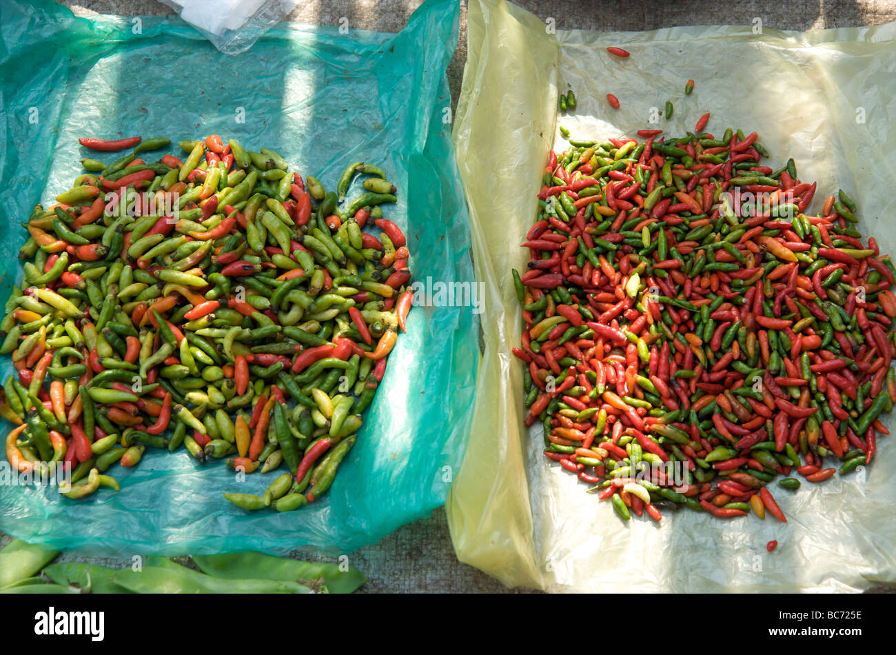 Small hot red chillies hi-res stock photography and images - Alamy