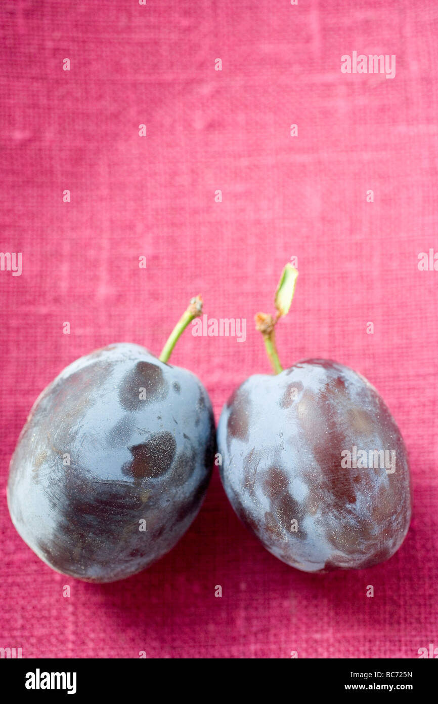 Two plums Stock Photo - Alamy