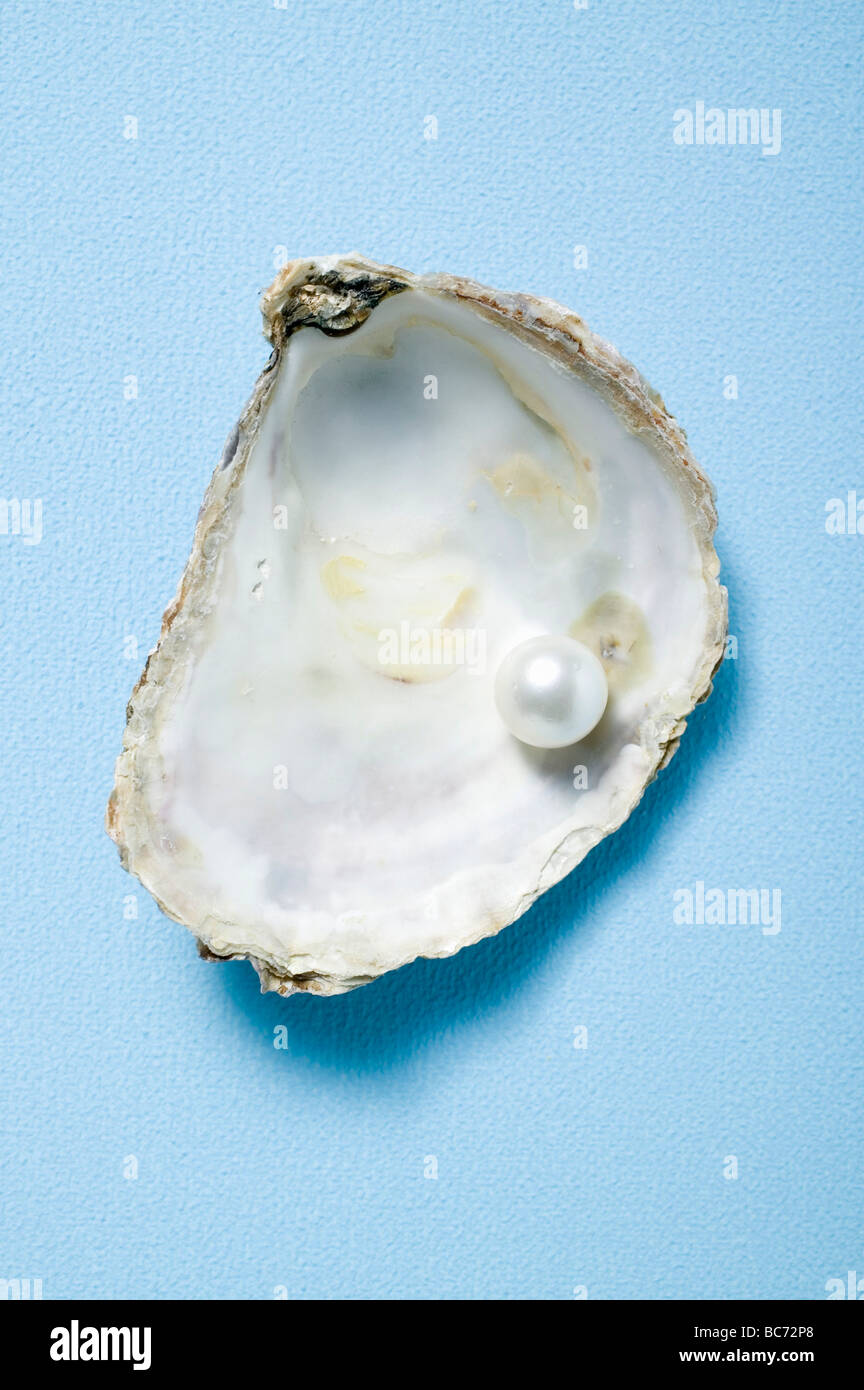 Pearl in oyster shell Stock Photo - Alamy