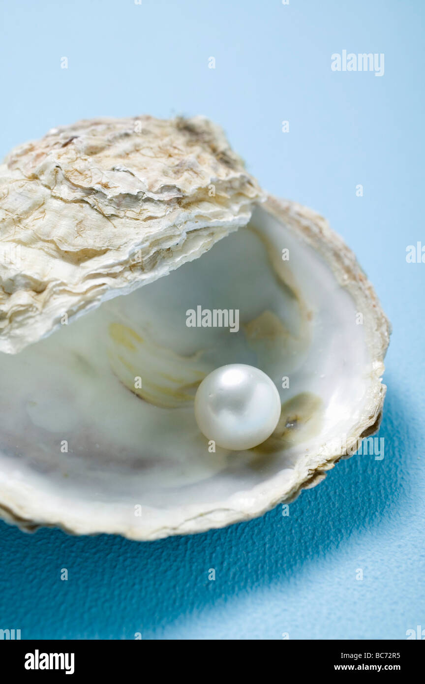 Pearl in oyster shell Stock Photo - Alamy