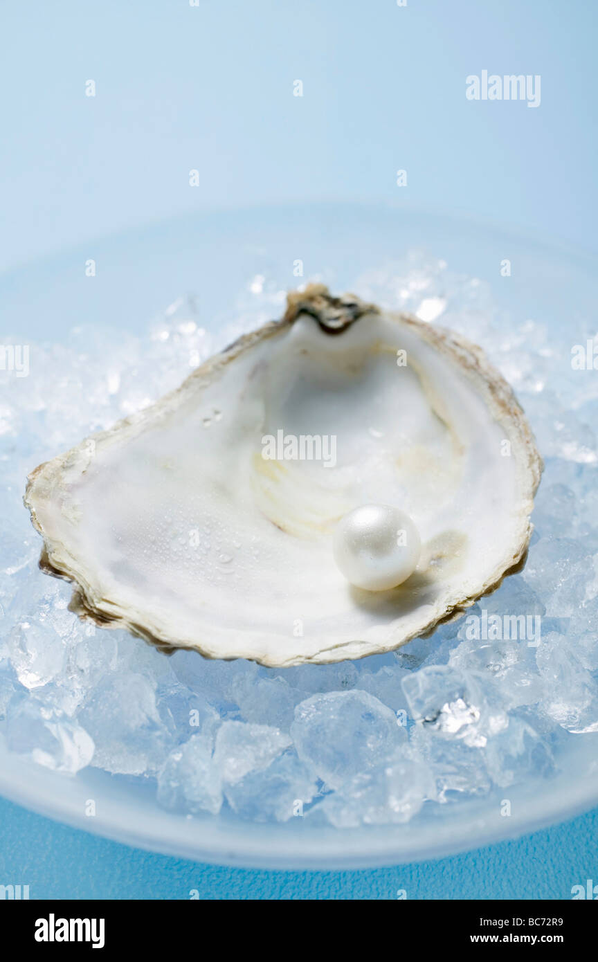 Pearl in oyster shell on crushed ice Stock Photo - Alamy