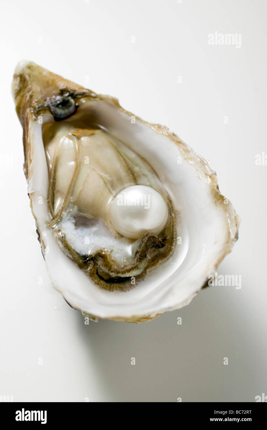 Fresh oyster with pearl Stock Photo - Alamy