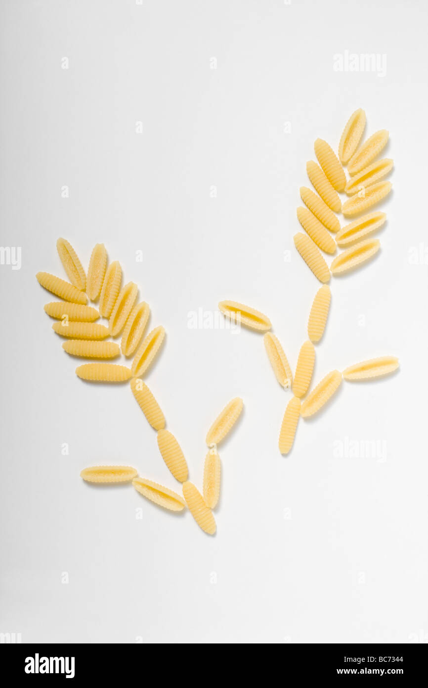 Two flowers formed from pasta Stock Photo - Alamy