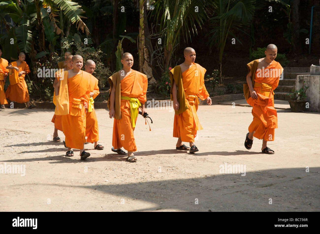 A group of Buddhist monks walking to their morning lessons in the ...
