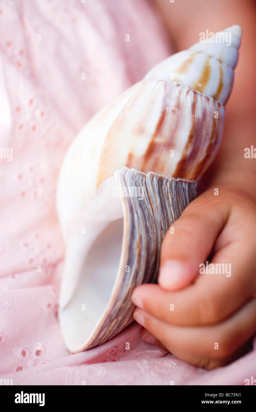 Child's hand holding sea shell Stock Photo - Alamy