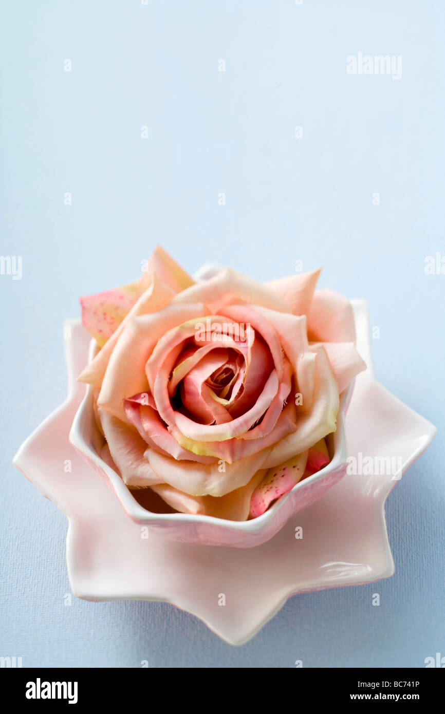 Indian pink root hi-res stock photography and images - Alamy