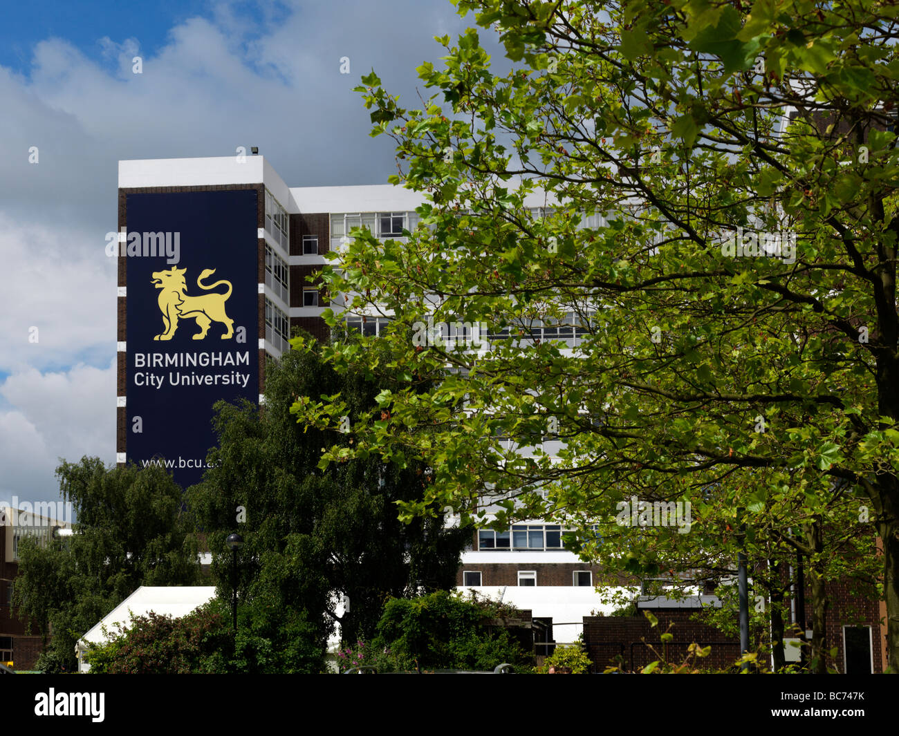 Lion statant hi-res stock photography and images - Alamy