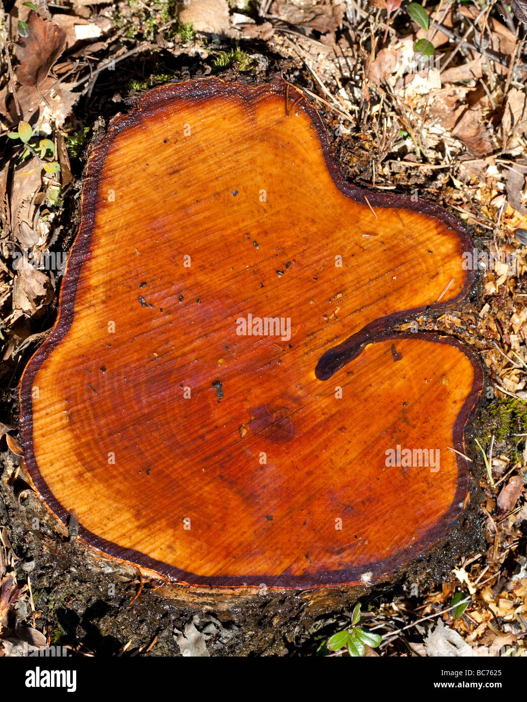 Cutting fluids hi-res stock photography and images - Alamy