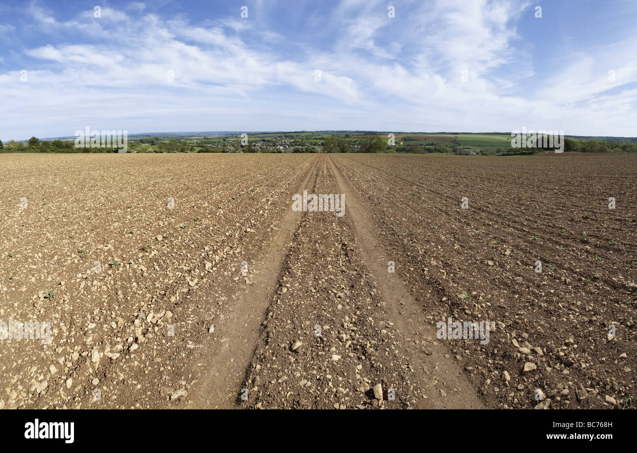 agriculture and farming in the english countryside Stock Photo - Alamy