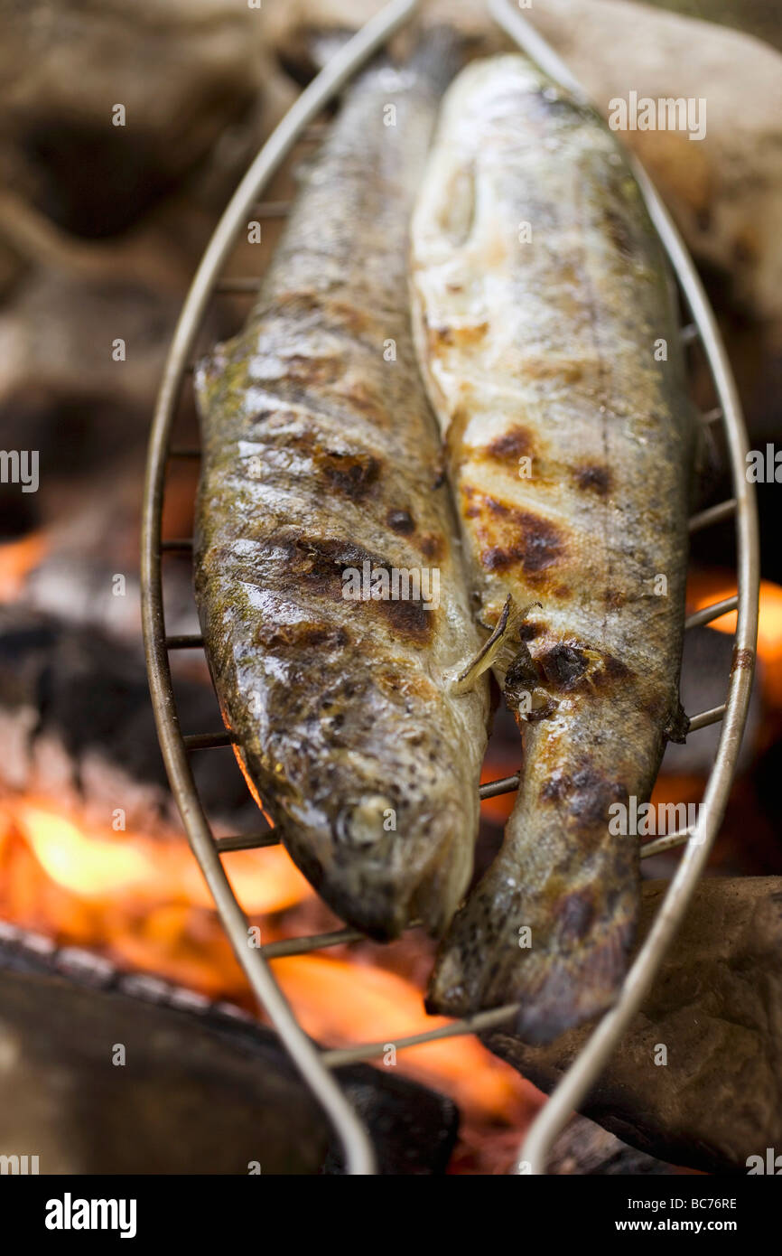 Camp fish eye hi-res stock photography and images - Alamy