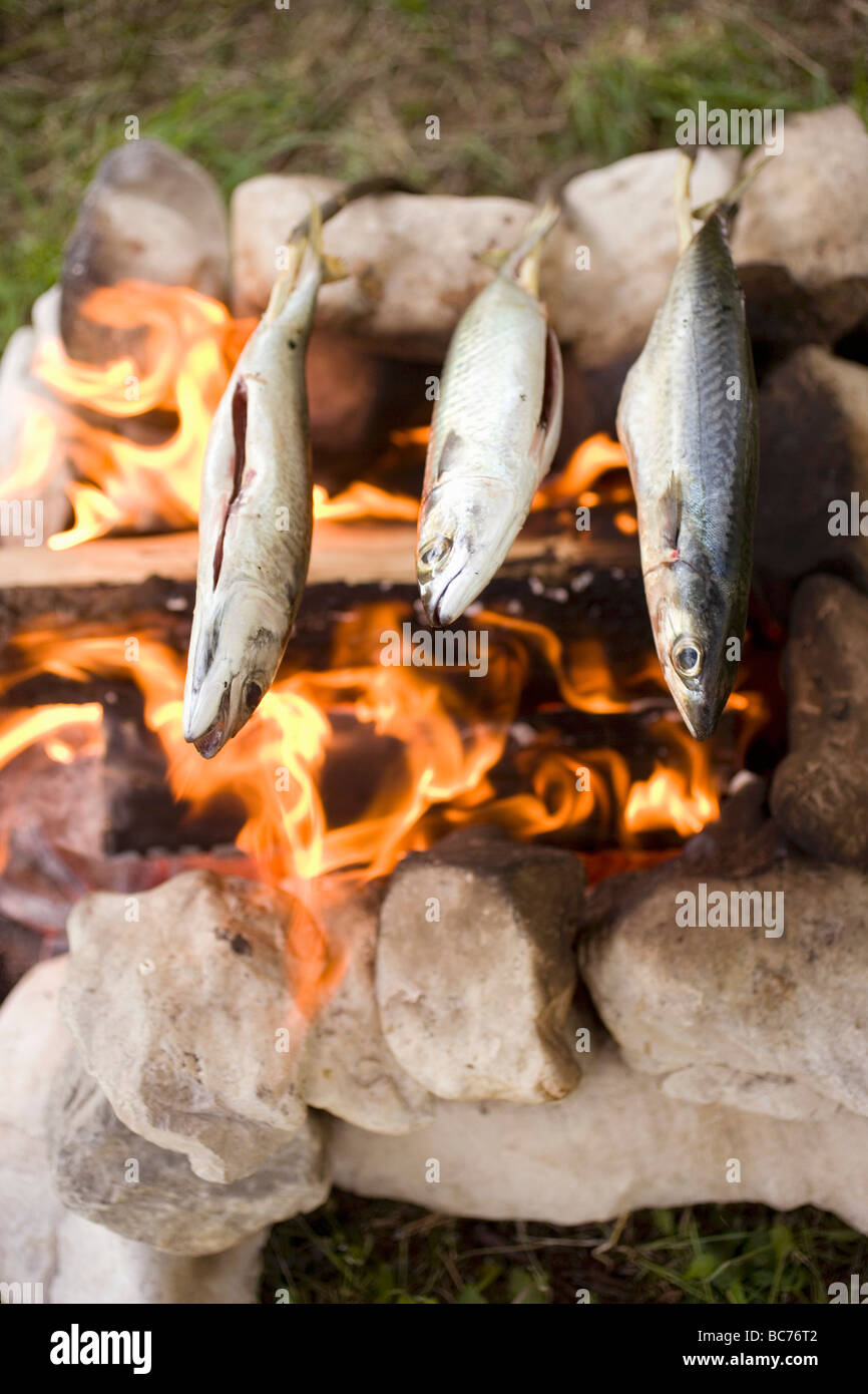 Camp fish eye hi-res stock photography and images - Alamy