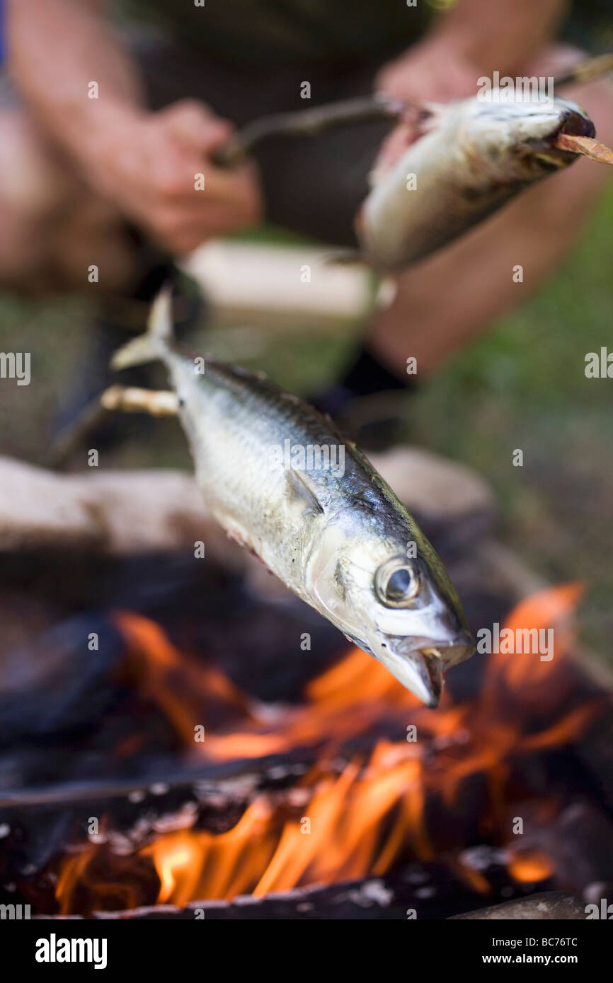 Grilling fish over camp fire hi-res stock photography and images - Alamy