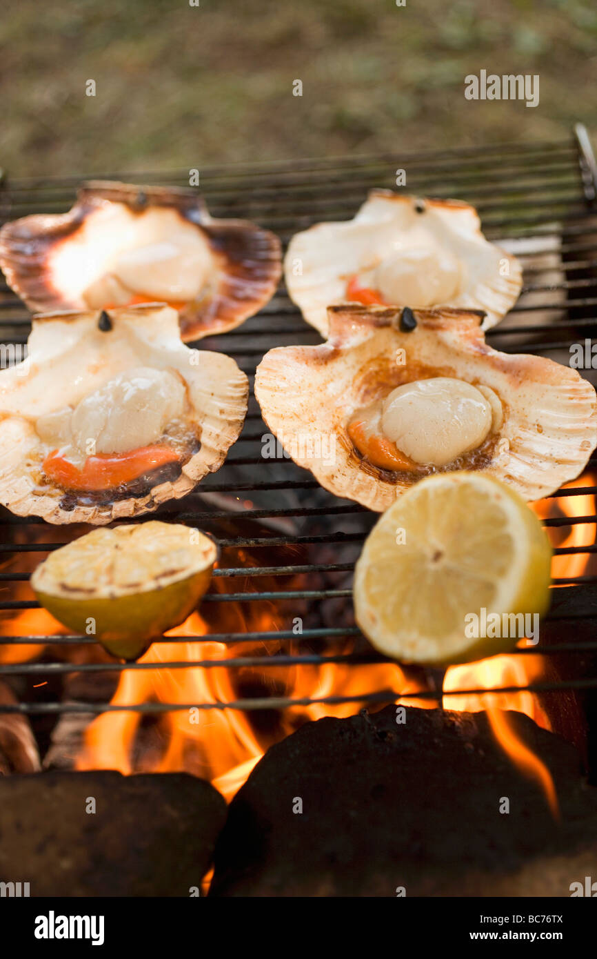 Scallops on barbecue Stock Photo - Alamy
