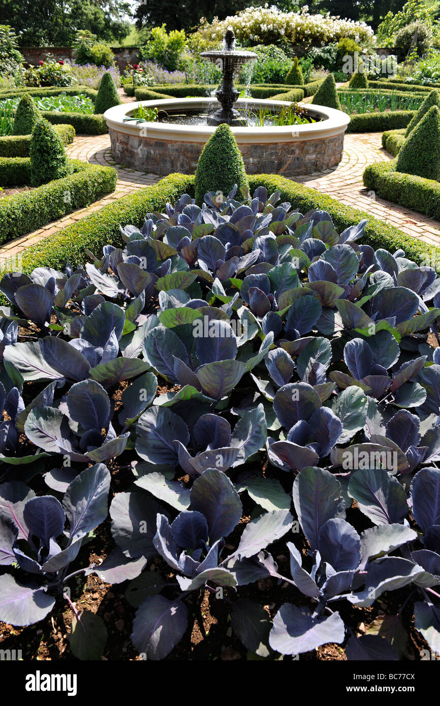 Vegetables growing at Holcombe Court garden in Devon, UK Stock Photo ...