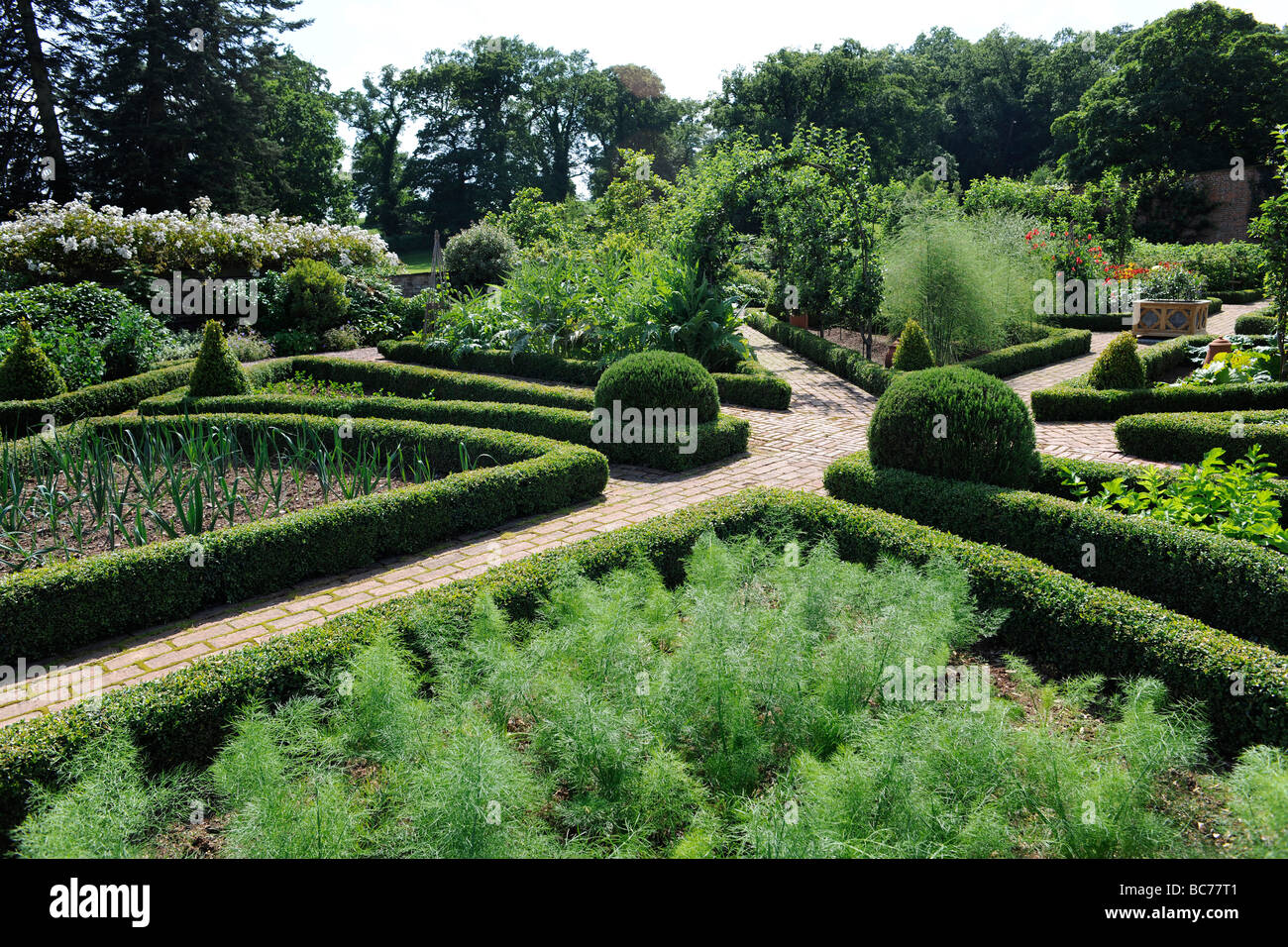 Vegetables growing at Holcombe Court garden in Devon, UK Stock Photo ...