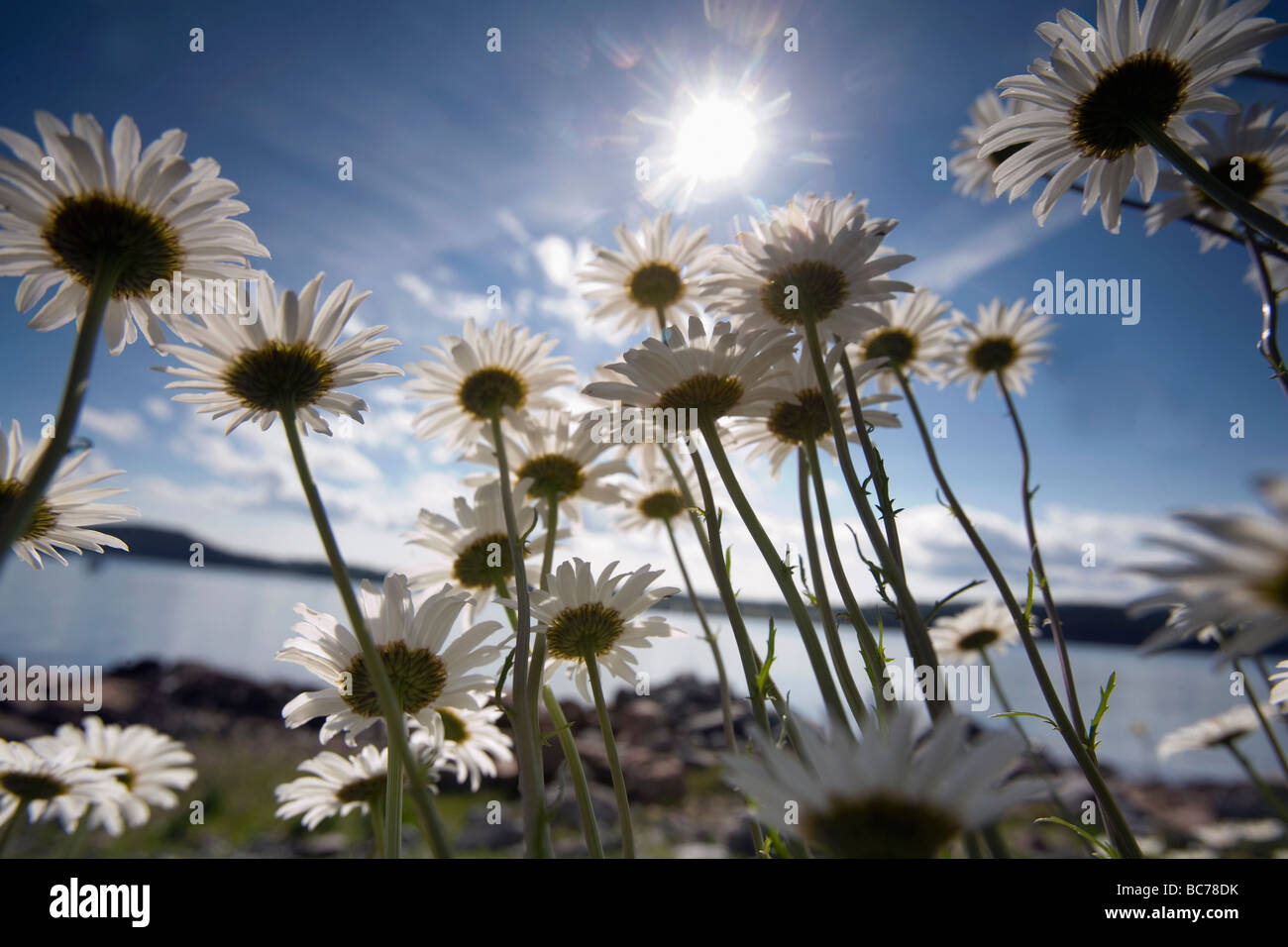 Ocean horizon blue sky Cut Out Stock Images & Pictures - Alamy