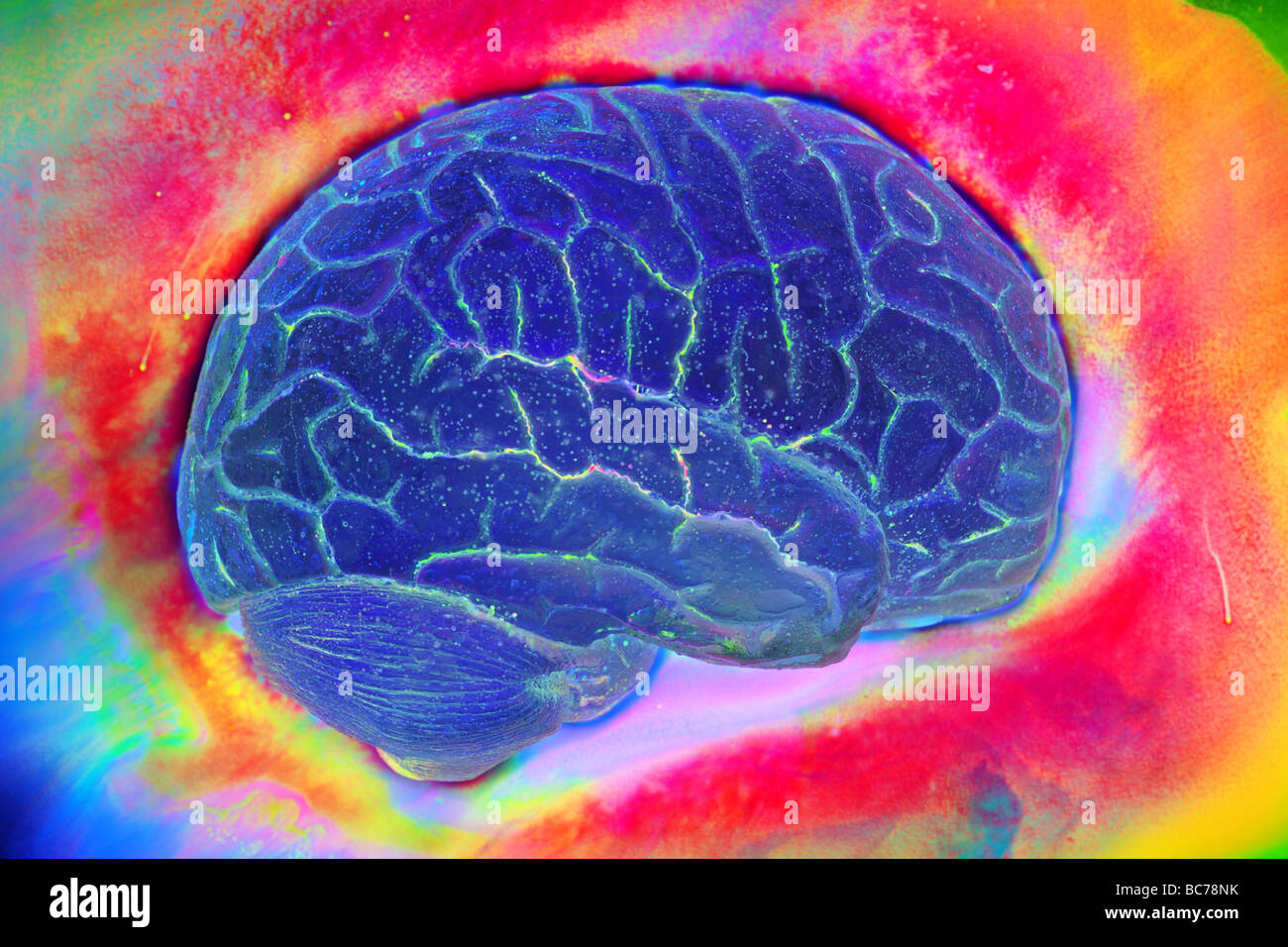 Himan hi-res stock photography and images - Alamy