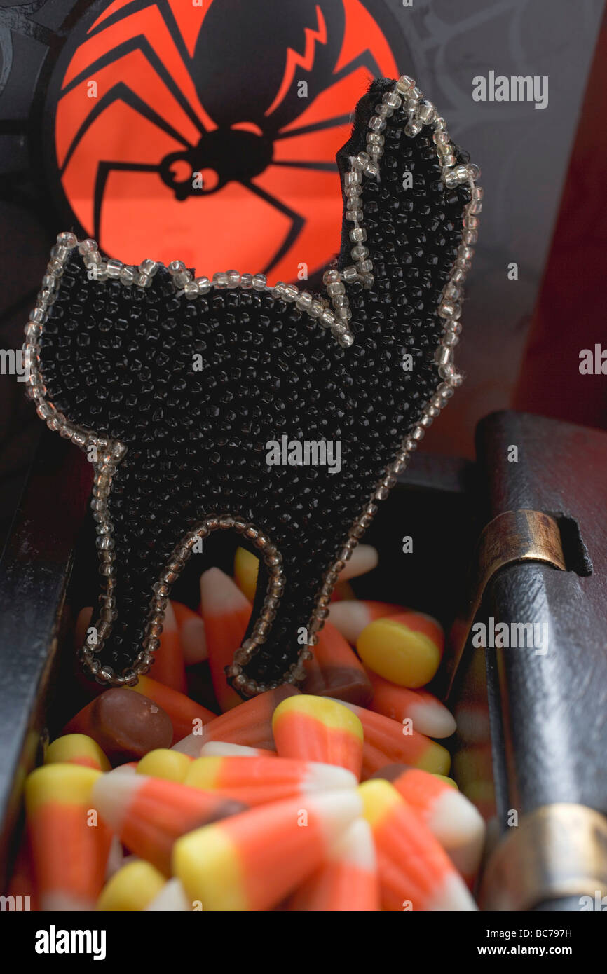 Black cat halloween hi-res stock photography and images - Alamy