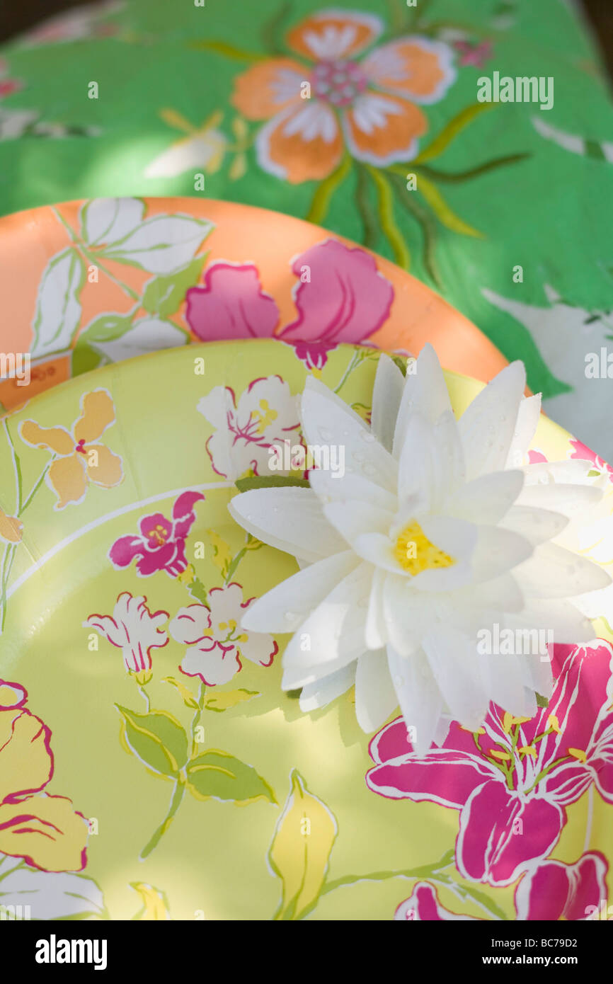 Paper plates hi-res stock photography and images - Alamy