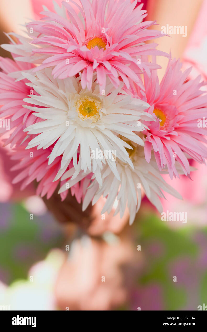 Summer posy hi-res stock photography and images - Alamy