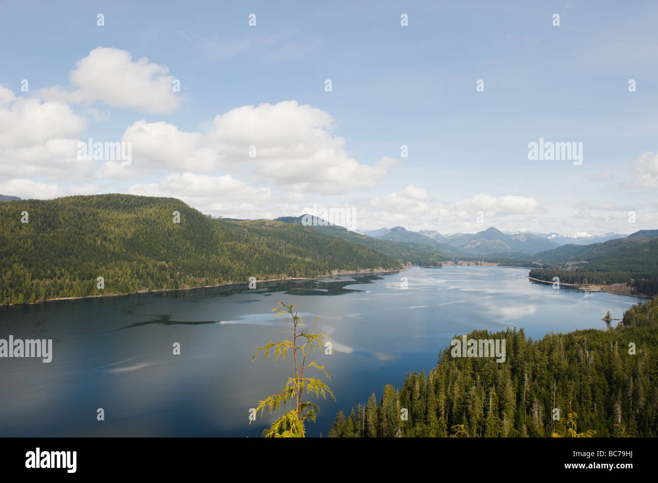 Nitinat Lake Carmanah Walbran Provincial Park Vancouver Island British ...