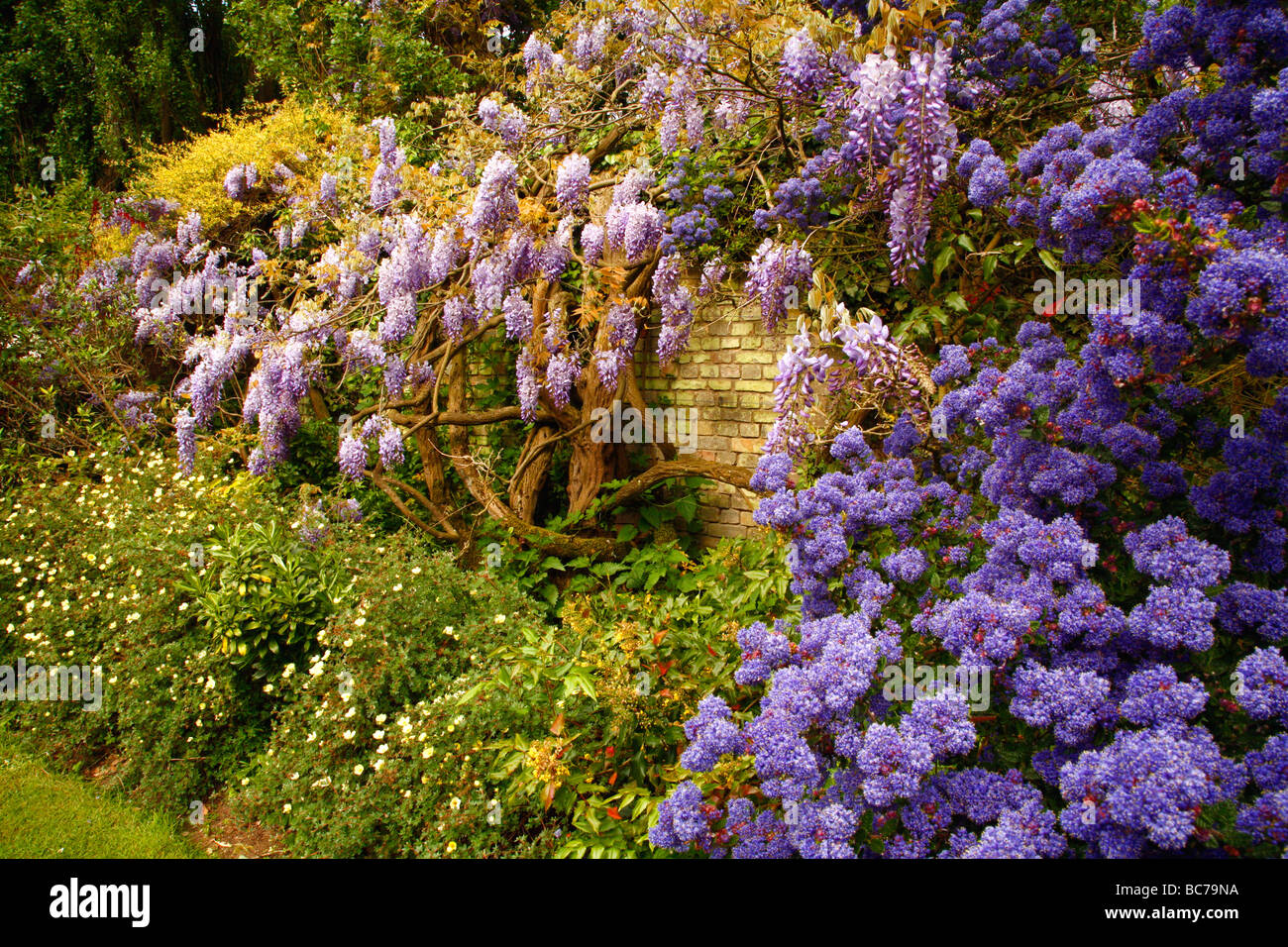 Old english garden wall hi-res stock photography and images - Alamy