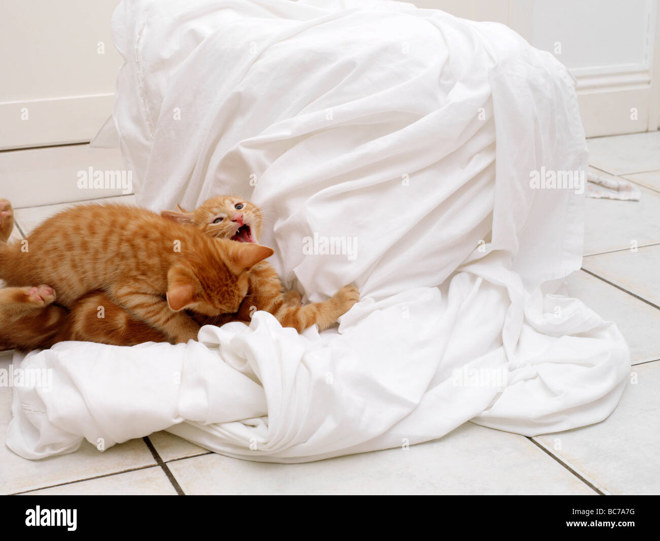 Attacking play hi-res stock photography and images - Alamy
